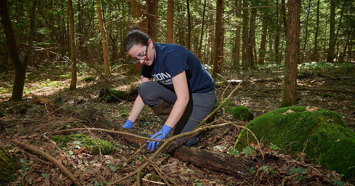 Ecology and Evolutionary Biology | Biology Advising Center